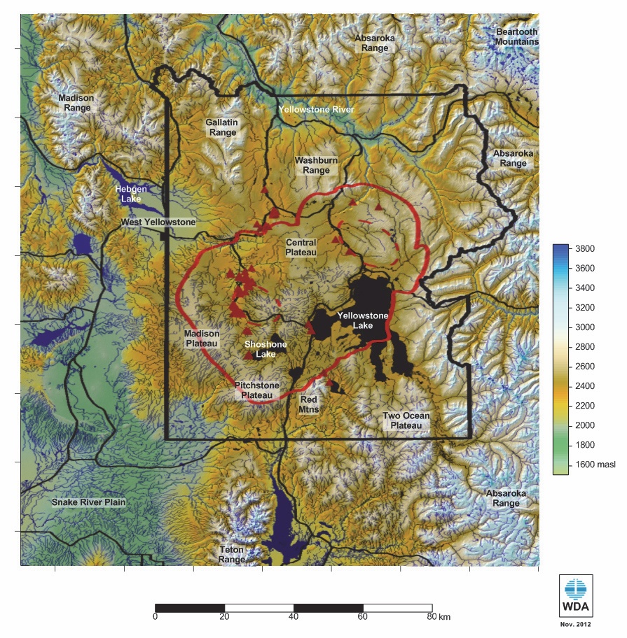 WDA Consultants Inc.